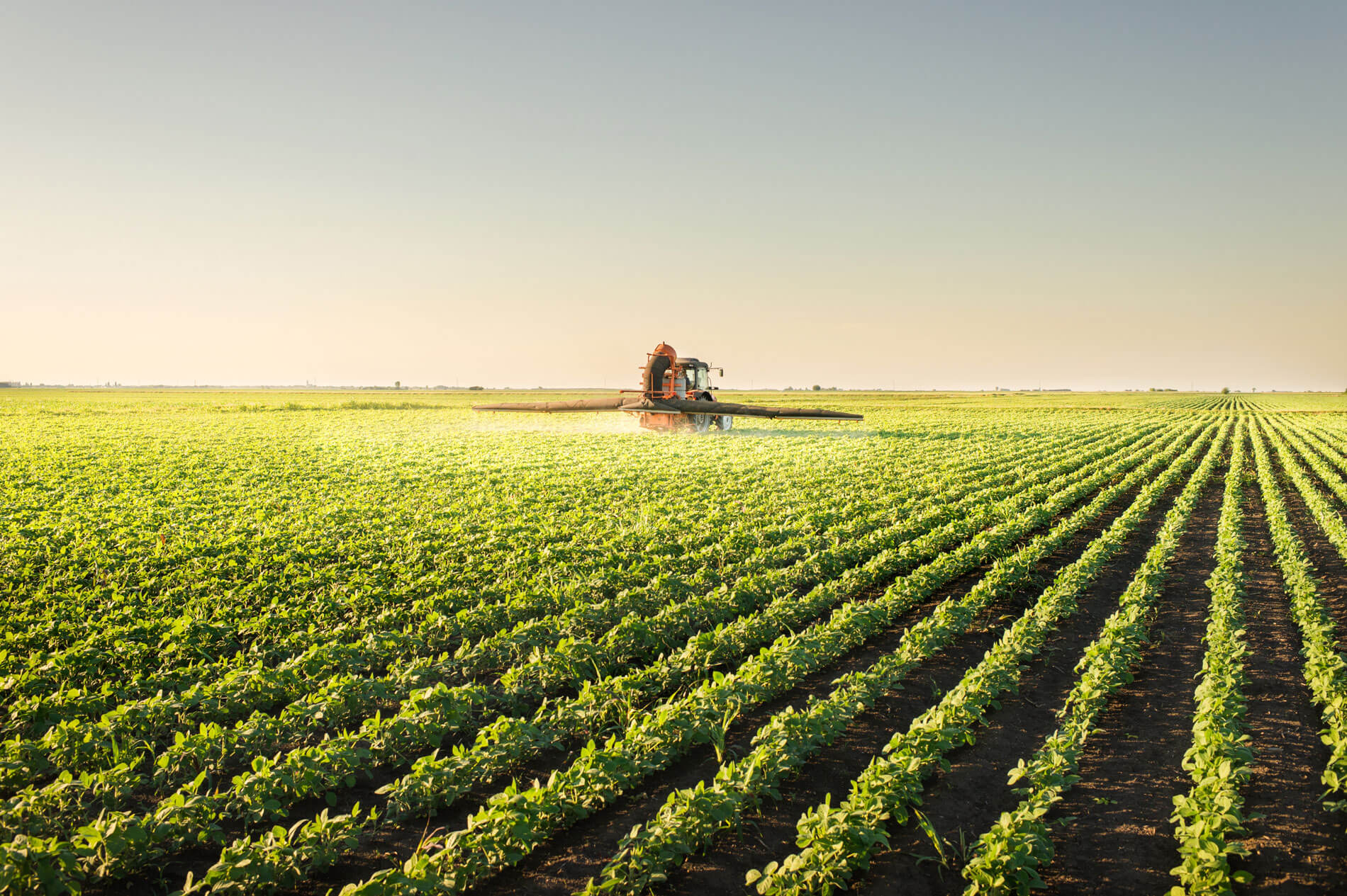O que é Agronegócio: mercado, profissões e curiosidades